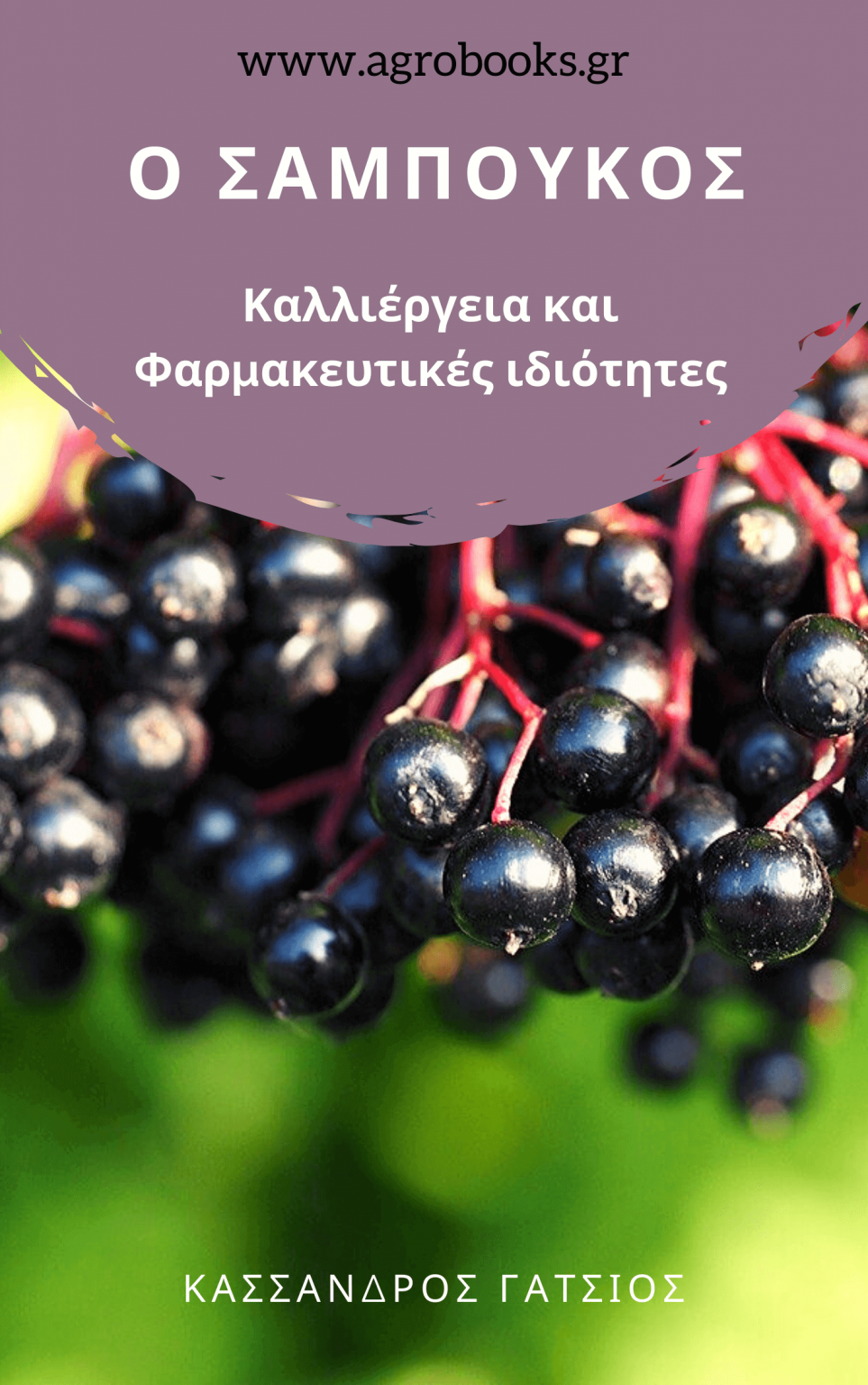 ΣΑΜΠΟΥΚΟΣ-ΚΑΛΛΙΕΡΓΕΙΑ ΚΑΙ ΦΑΡΜΑΚΕΥΤΙΚΕΣ ΙΔΙΟΤΗΤΕΣ - Agrobooks