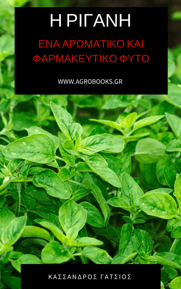 Η ΡΙΓΑΝΗ-ΕΝΑ ΑΡΩΜΑΤΙΚΟ ΚΑΙ ΦΑΡΜΑΚΕΥΤΙΚΟ ΦΥΤΟ - Agrobooks