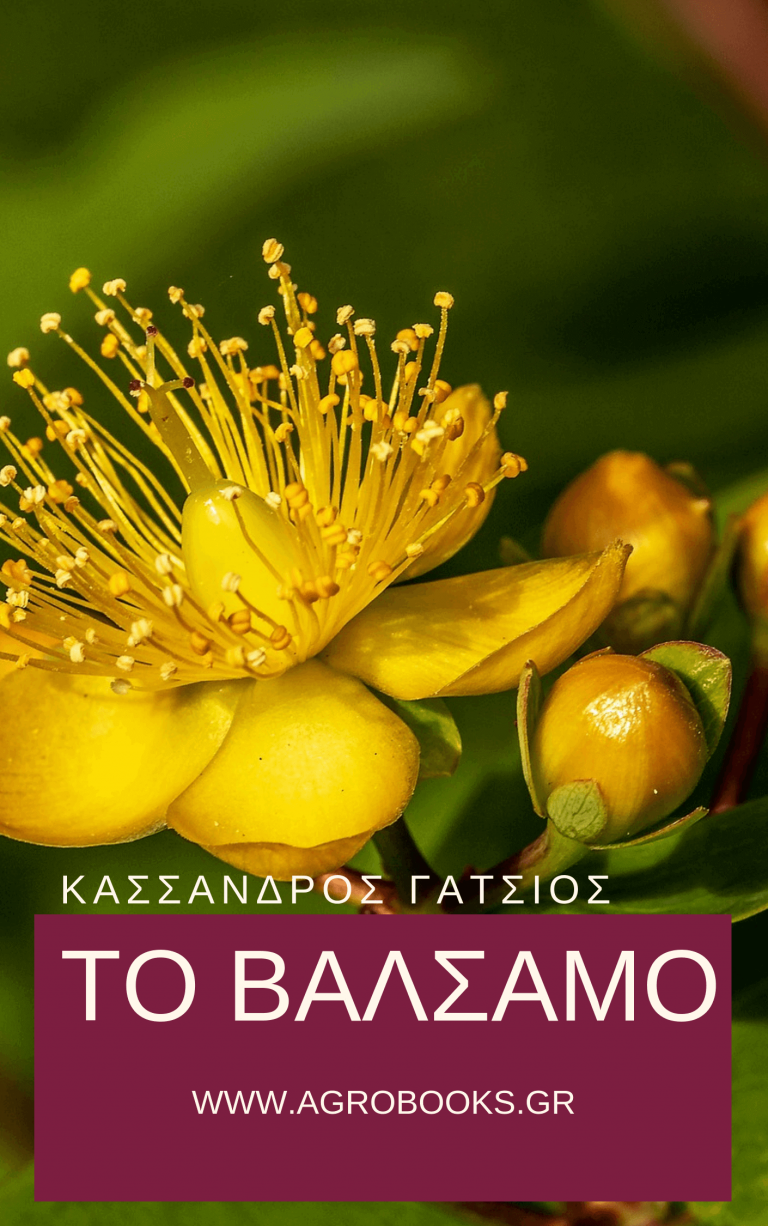 ΤΟ ΒΑΛΣΑΜΟ - Agrobooks