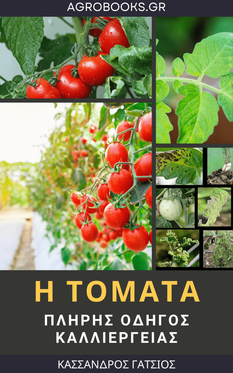 Η ΤΟΜΑΤΑ-ΠΛΗΡΗΣ ΟΔΗΓΟΣ ΚΑΛΛΙΕΡΓΕΙΑΣ - Agrobooks