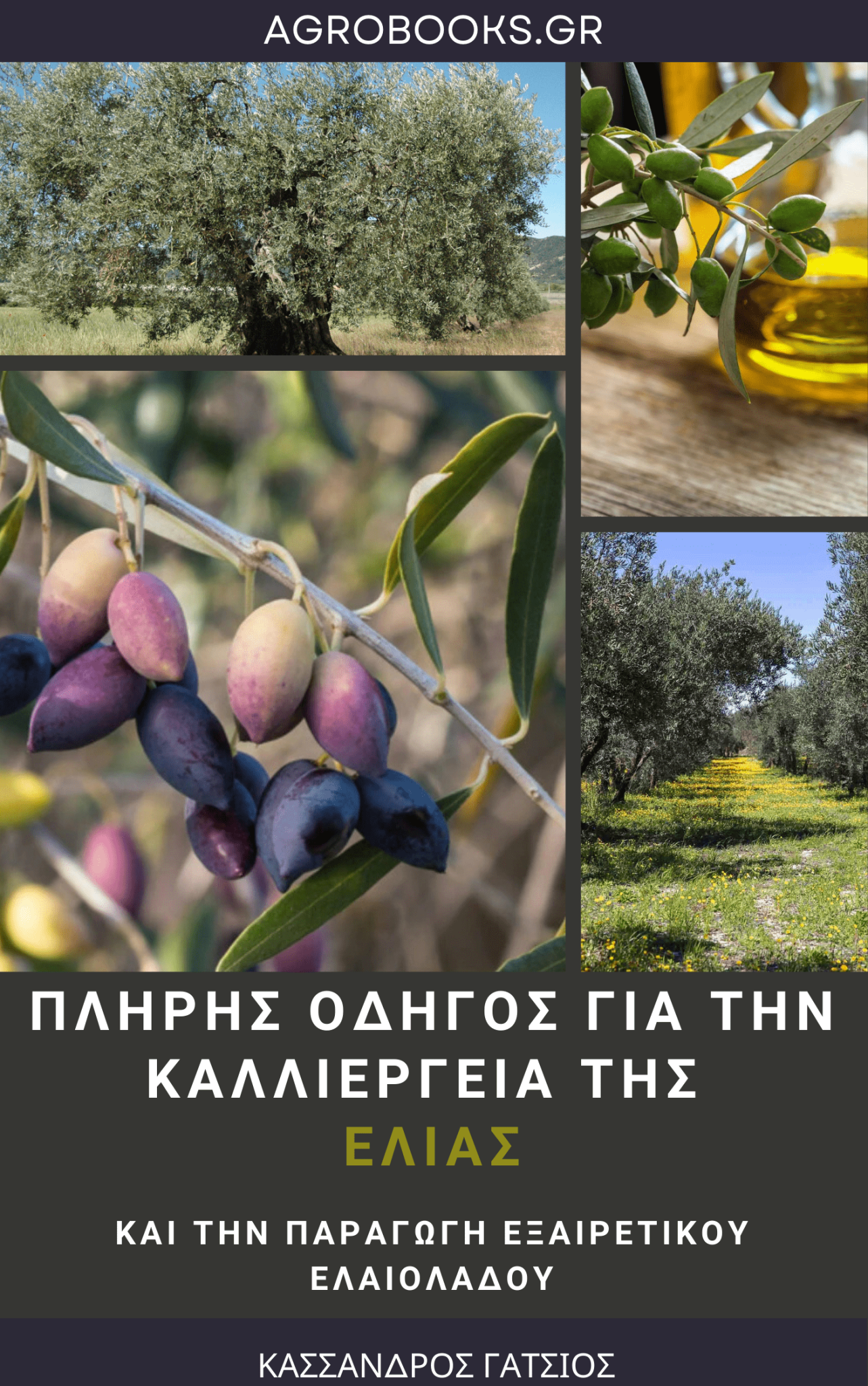 ΠΛΗΡΗΣ ΟΔΗΓΟΣ ΓΙΑ ΤΗΝ ΚΑΛΛΙΕΡΓΕΙΑ ΤΗΣ ΕΛΙΑΣ ΚΑΙ ΤΗΝ ΠΑΡΑΓΩΓΗ ...
